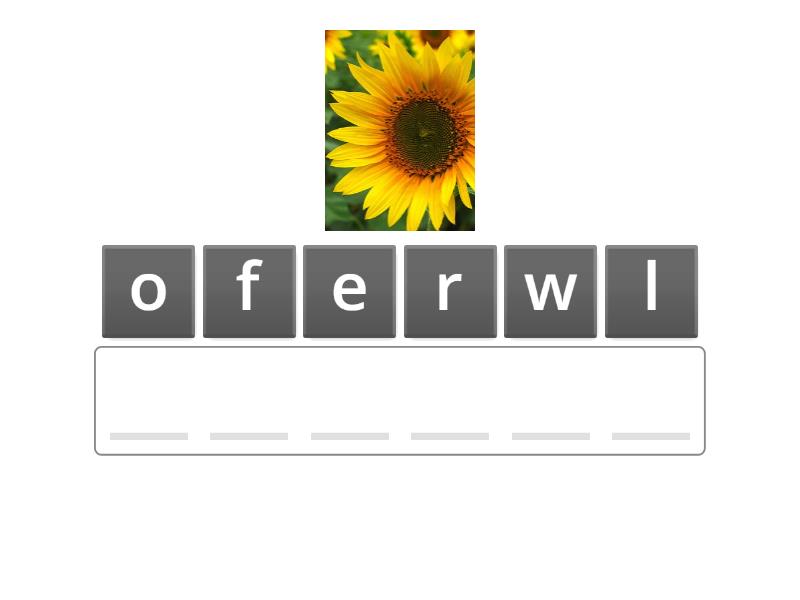 Parts of a plant - Anagram