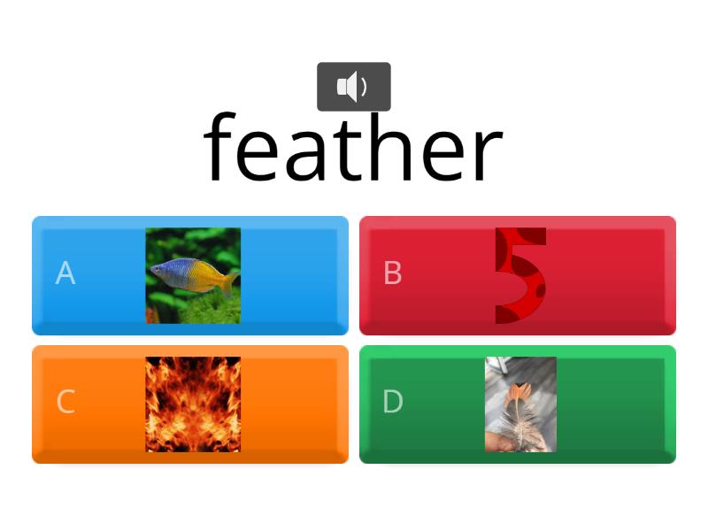 Letter F - Quiz