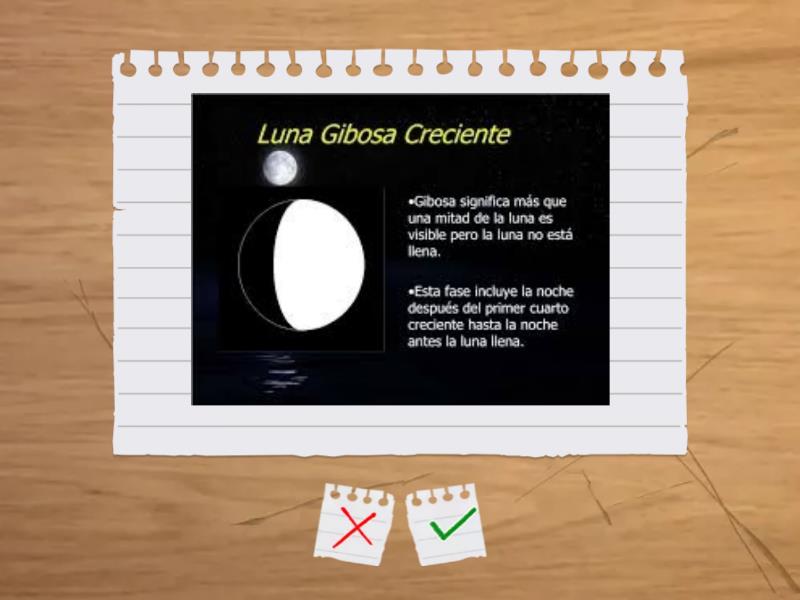 Las fases de la luna - Flashcards