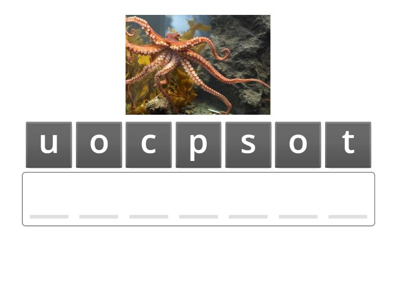 Under the sea creatures (Super Minds 3 -U5) - Anagram