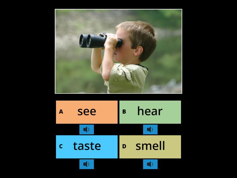 I Can See 3 - Quiz