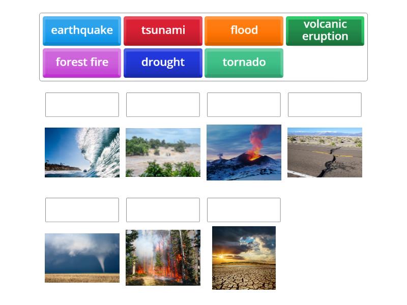 Natural disasters kids - Match up
