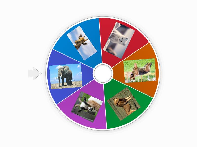 Animals - Spin the wheel