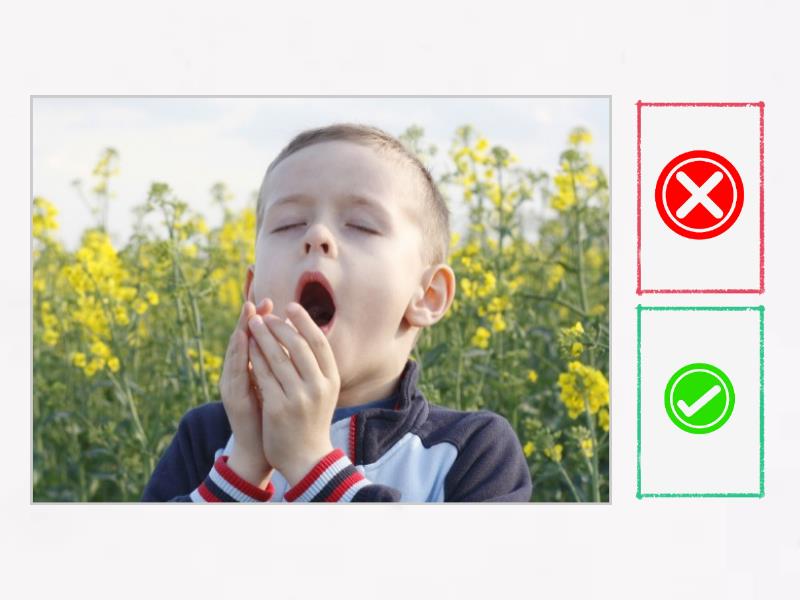 the right way to sneeze - Quiz