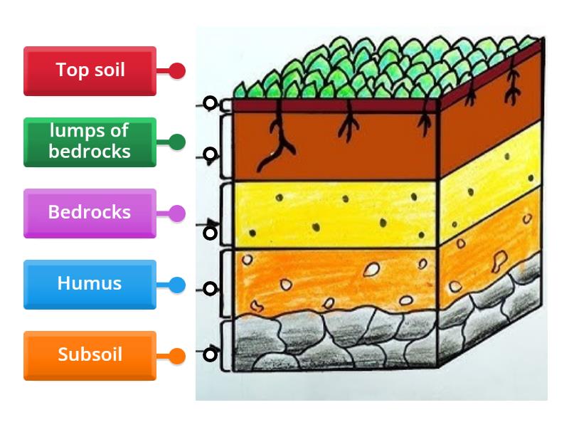 Identify the layers of diagram - Labelled diagram