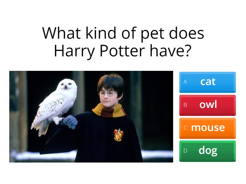 HARRY POTTER Basics - Quiz