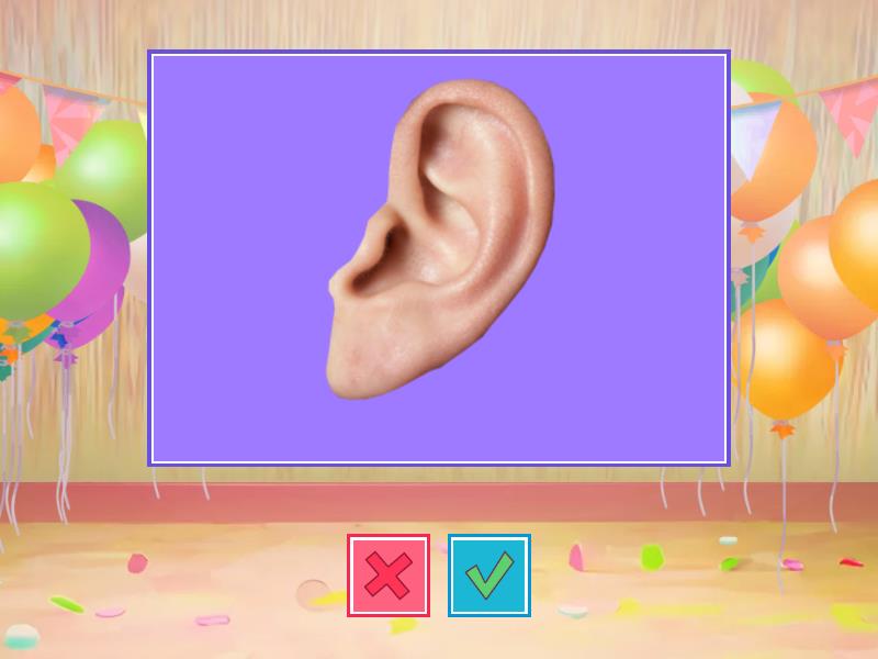 Levantine Arabic Body and Face Parts Spinner - Tarjetas flash