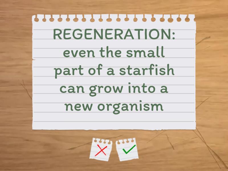 Odd Reproduction - Flash cards