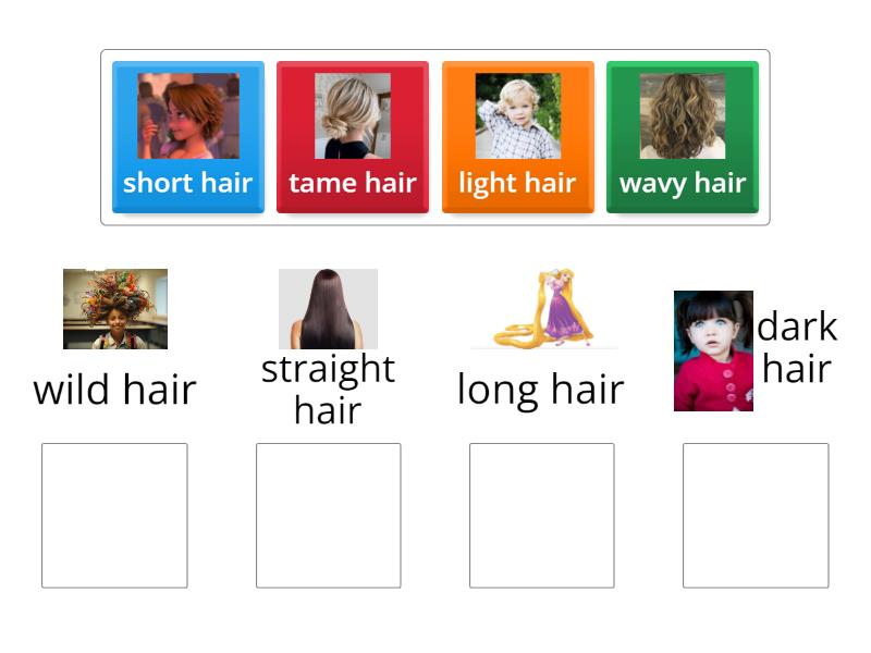 Hair opposites - Group sort