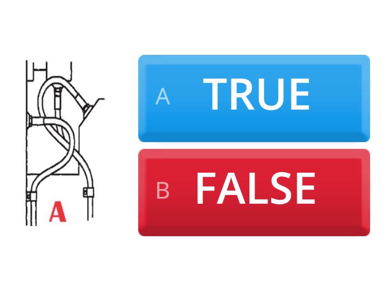 IS THE ASSEMBLY CORRECT? - Quiz