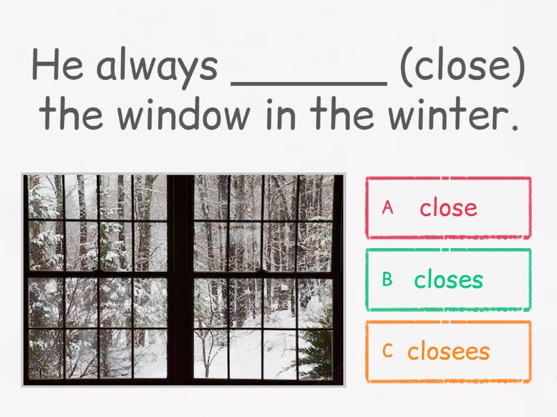 Present Simple Positive - Quiz