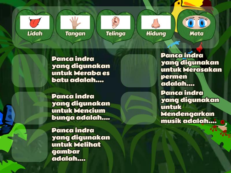 Pasangkanlah Bagian Tubuh dan fungsinya dengan benar - Match up