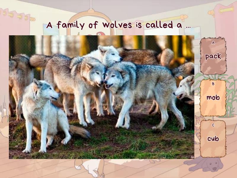 AS2 Unit 1 Lesson 4 - Quiz