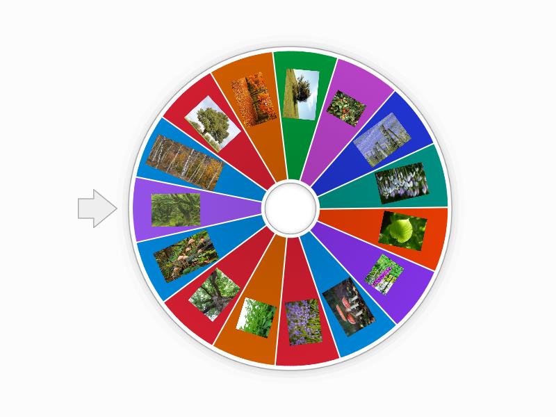 Editable Wheel - Random wheel