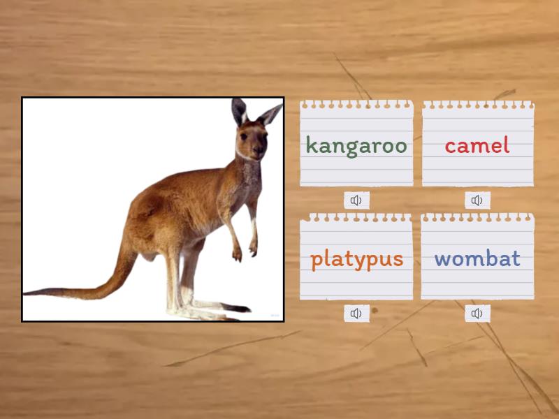 Animals from Australian Outback and deserts - Quiz