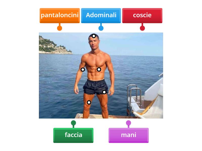 Ronaldo - Labelled diagram
