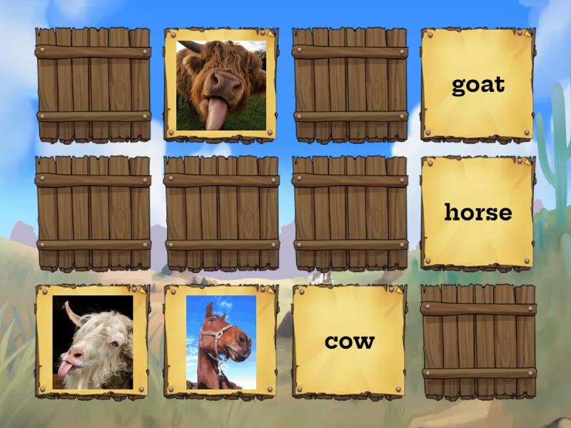 Domestic animals A1 - Matching pairs