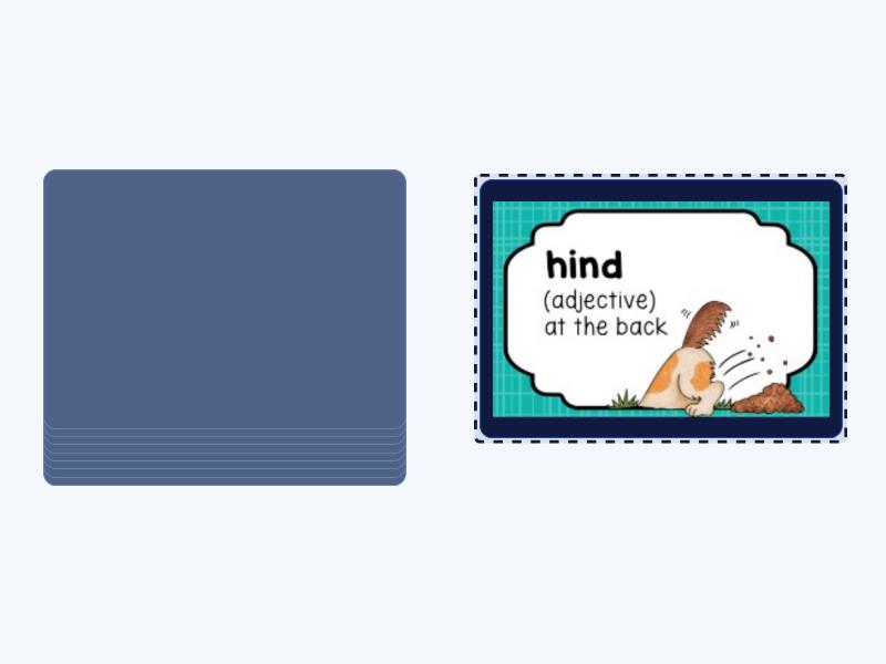 Winn Dixie Vocabulary Practice Set 1 - Speaking cards