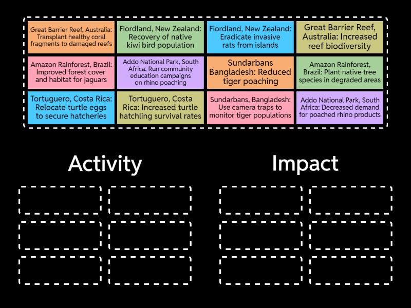 Activity or Impact? Drag and drop the boxes in either the Activity ...