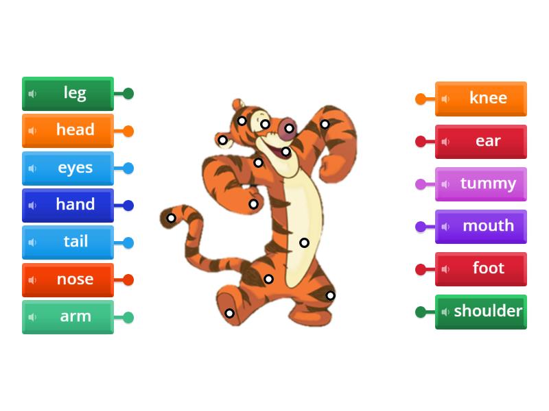 20) Body parts - Games Guide - Labelled diagram