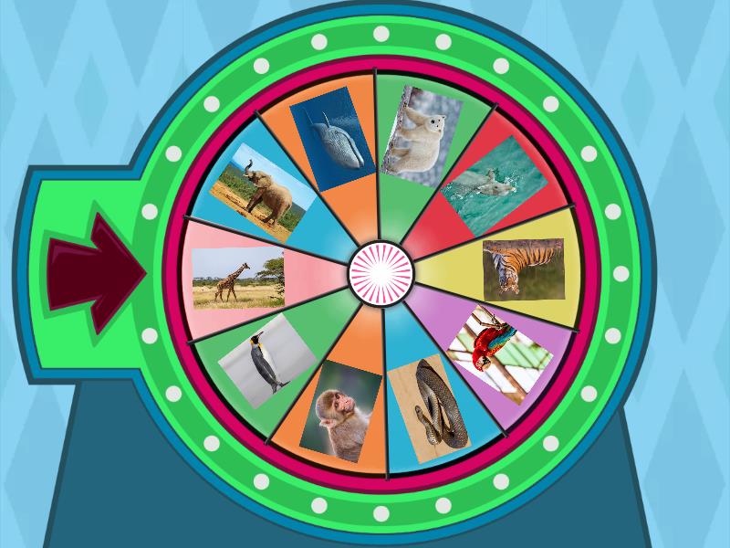 Animals. Prepare 7. Unit 2 - Spin the wheel