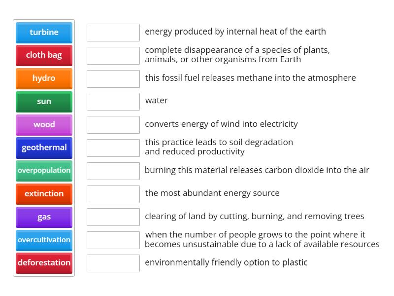 Environment Matching Game - Match up