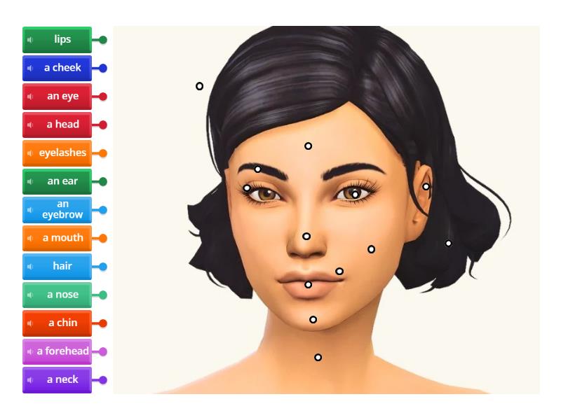 HEAD vocabulary - Labelled diagram