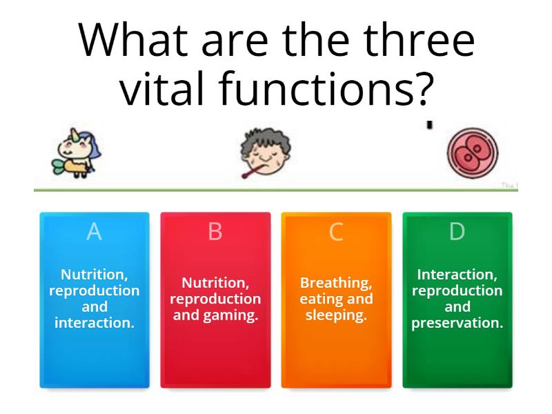 VITAL FUNCTIONS - Cuestionario