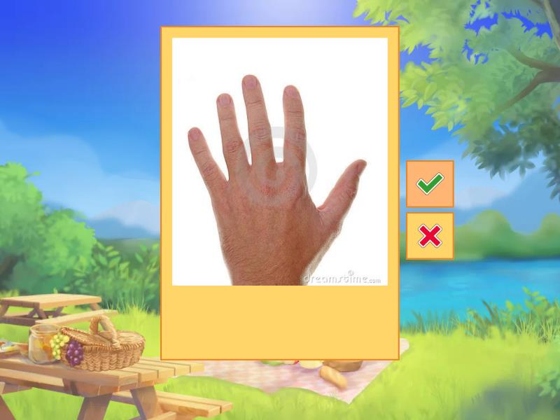 Levantine Arabic: Body and Face Parts - Flashcards