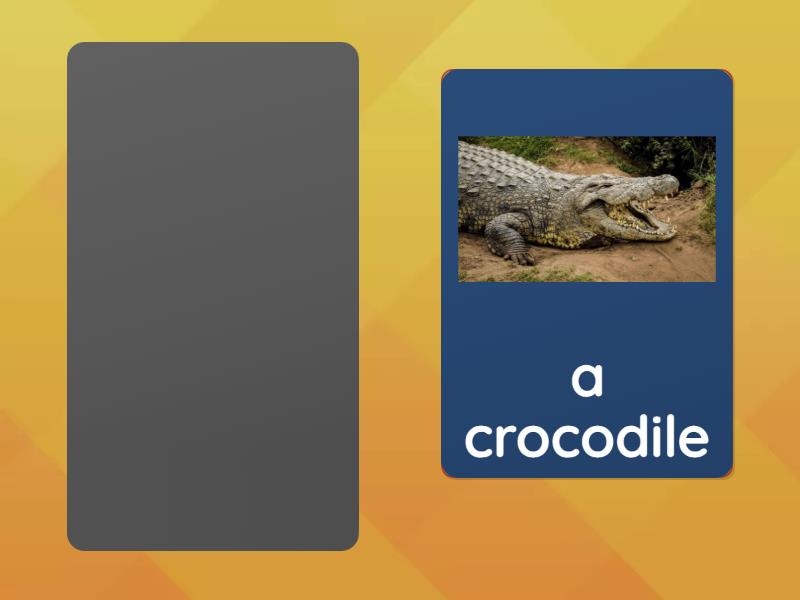 Wild animals - Speaking cards