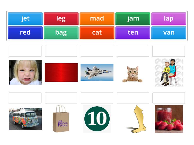 CVC Word Match (a & e) - Match up