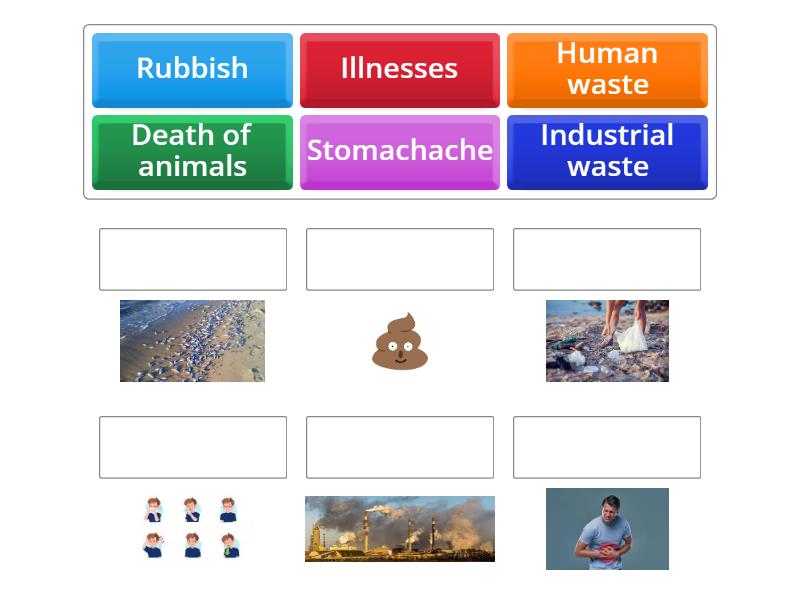 Water Pollution - Match up