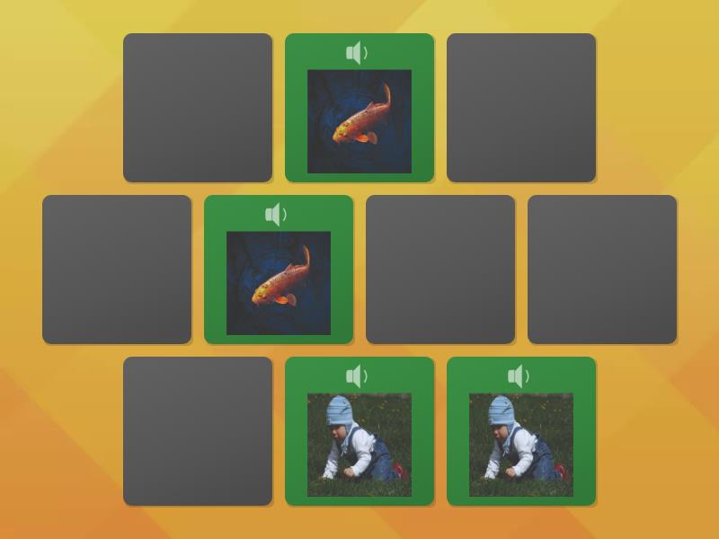 How Animals Move - 2 - Matching pairs