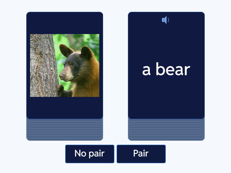 Pair no pair Find Animals (F&F1) - Pair or No Pair
