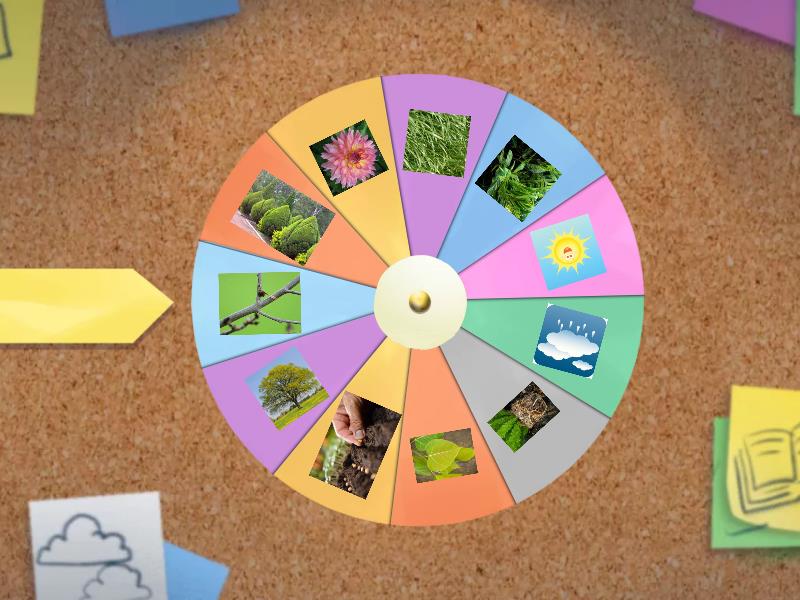 Plants - Spin the wheel