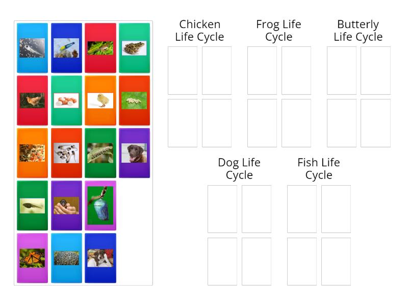 Life Cycle Sort - Group sort
