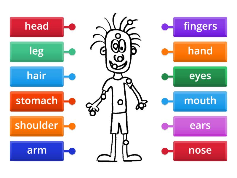 Body parts - Labelled diagram