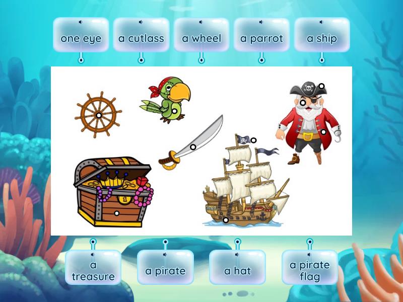 PIRATES! - Labelled diagram