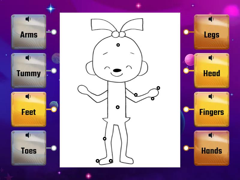 Prek ~ Unit 2: My body - Labelled diagram