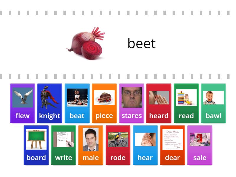 Match the Homophones - Find the match