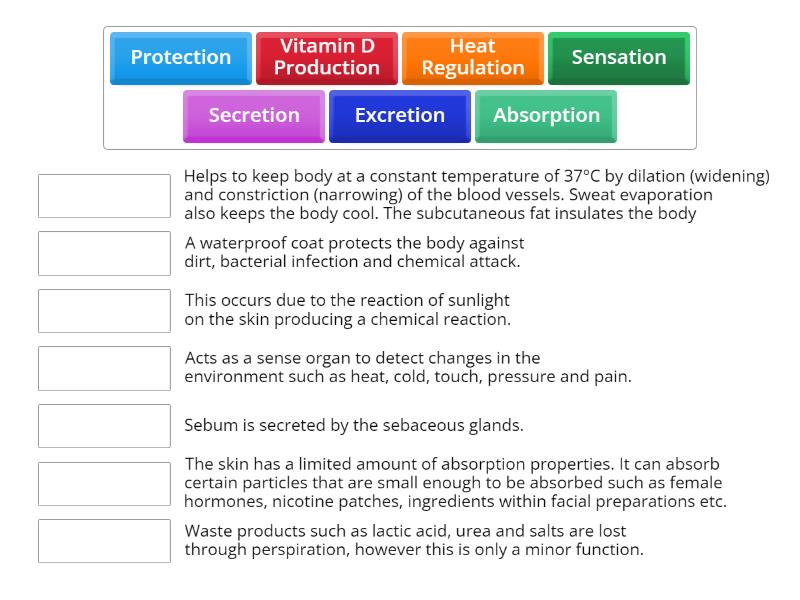 Skin Functions - Match up