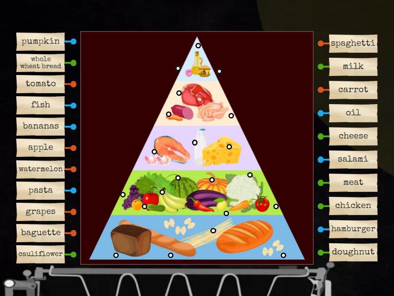 Food pyramid Class 5, 6, 7 - Labelled diagram