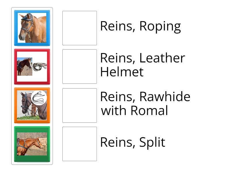 Horse Reins Matching Game - Match up