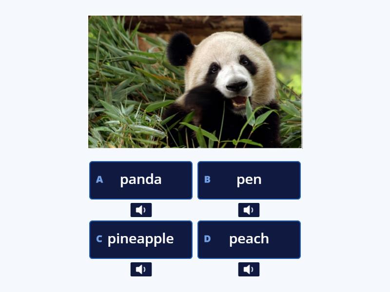 Oxford Phonics (p) - Quiz
