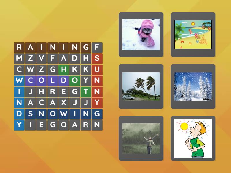 Unit 5 Word Search - Sopa de letras
