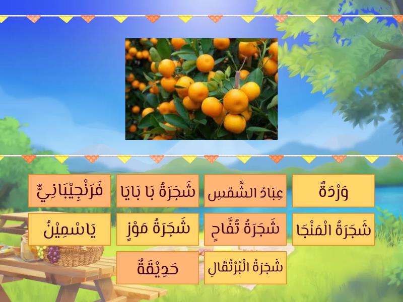 Arabic Grade 3 - Find the match