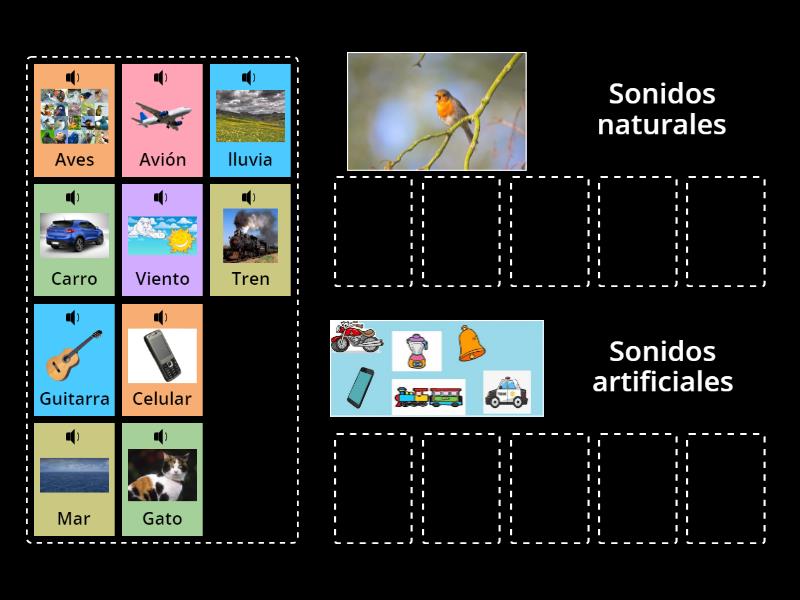 Sonidos naturales y artificiales - Group sort