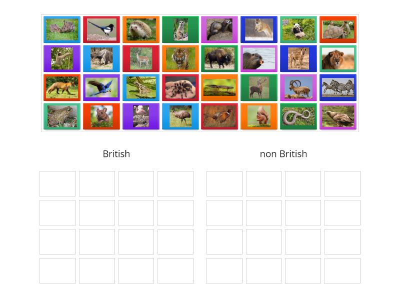 British animals? - Group sort