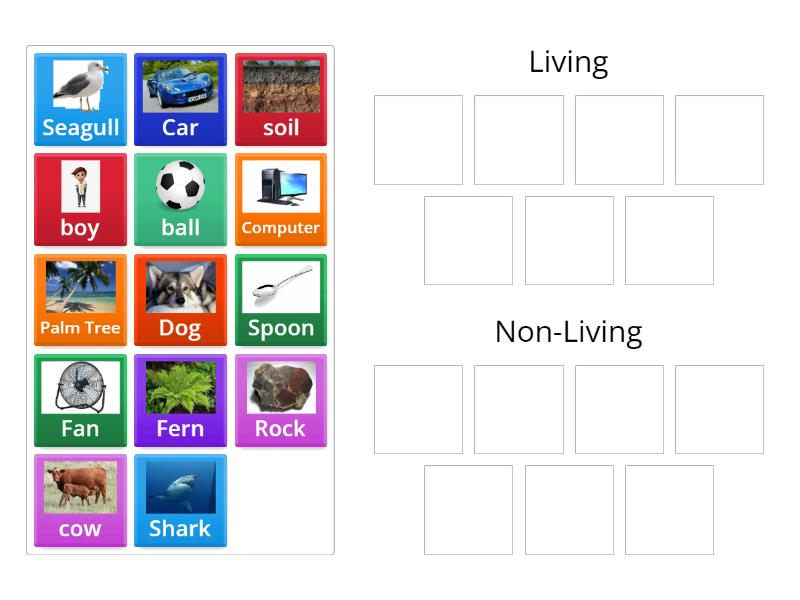 Science Living Things - Group sort