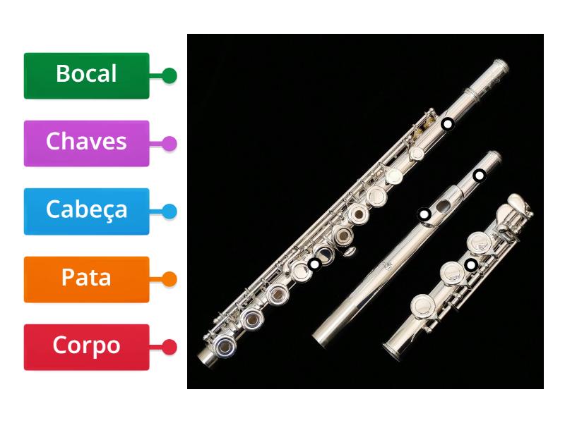 Anatomia da Flauta Transversal - Labelled diagram